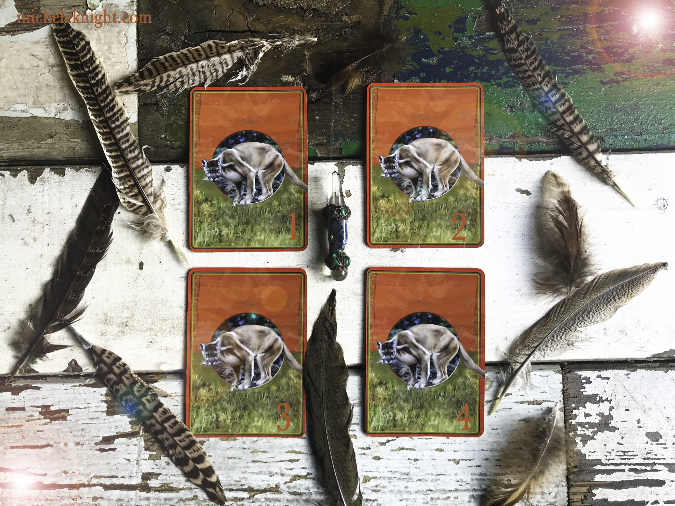 FREE Four Card Power Animal Oracle - Michele Knight