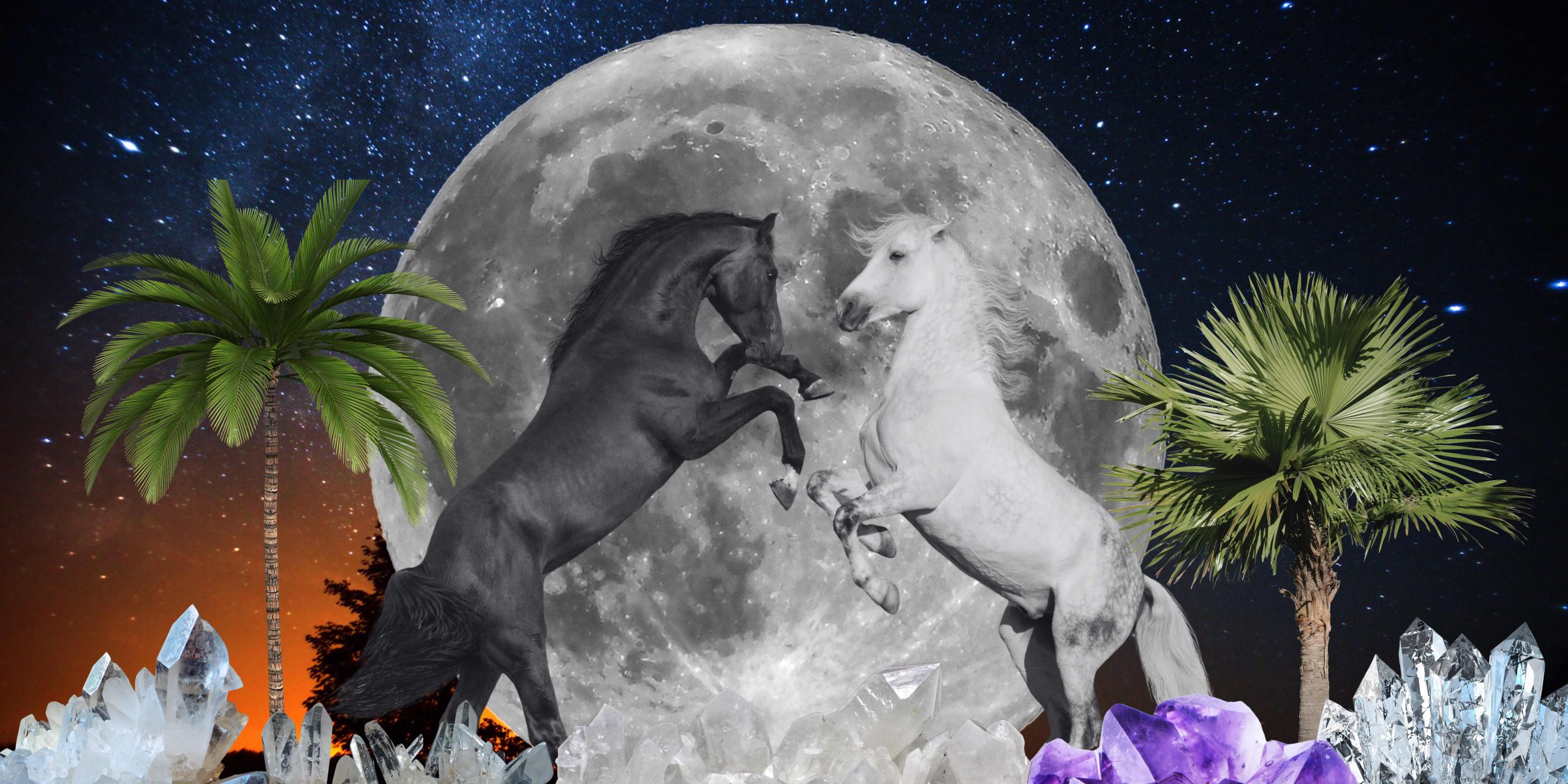 Your Full Moon in Sagittarius Moonscope May 23rd 2024 - Michele Knight