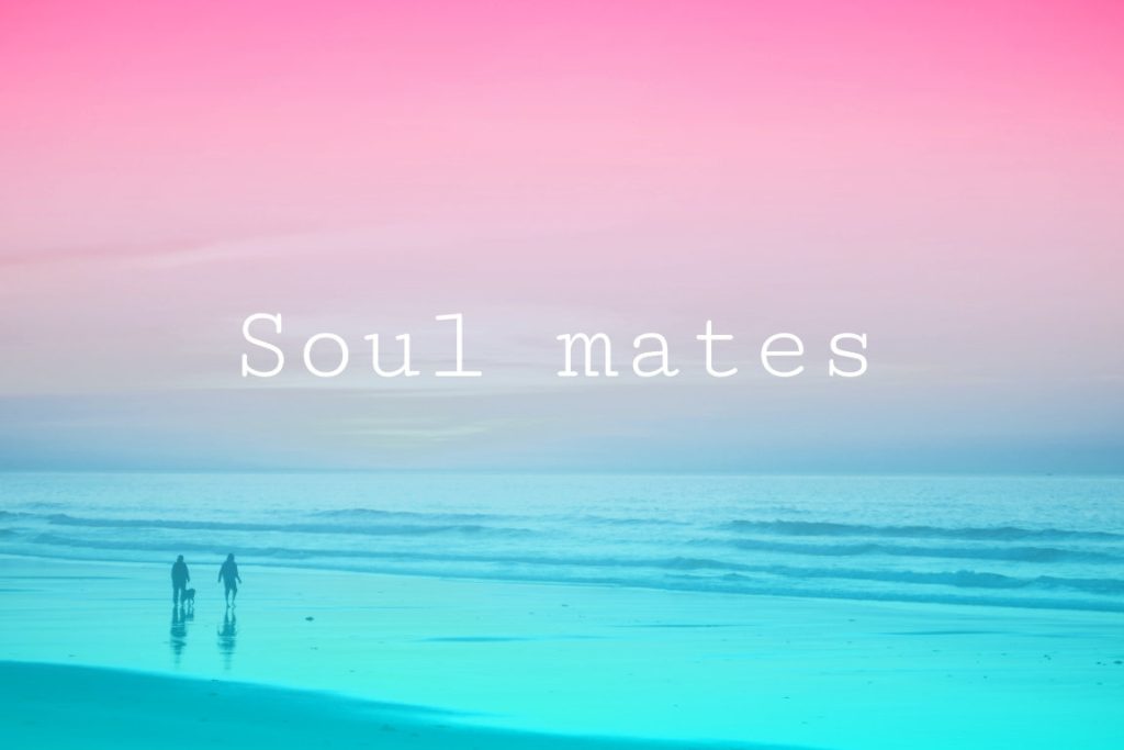 New Soulmate Compatibility Report Horoscope By Michele Knight new-soulmate-compatibility-report-horoscope-by-michele-knight